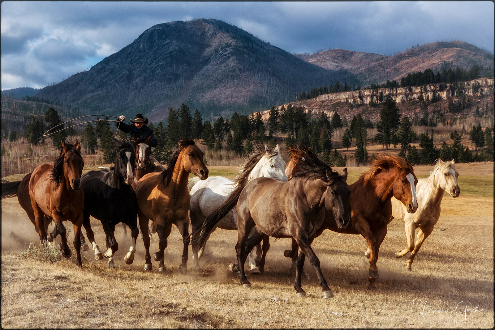 Cowboys & Western Fine Art Photography Prints | Ranch Life & Native ...