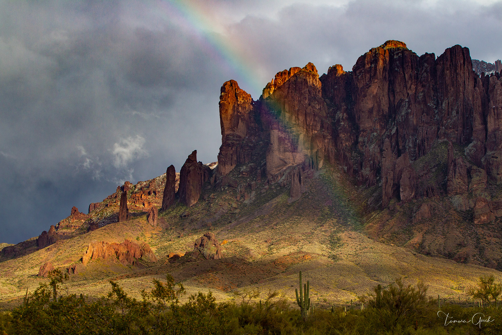 How to Anchor a Room with Luxury Large Format Desert Photography ...