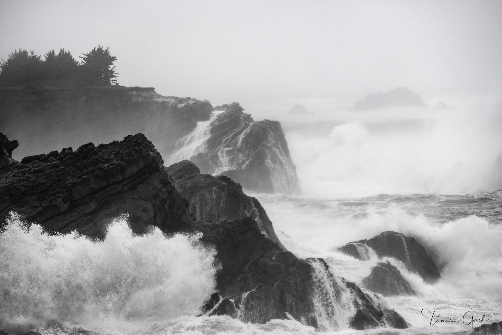 Tempest Sea | Oregon | Tamara Gooch Fine Art Photography